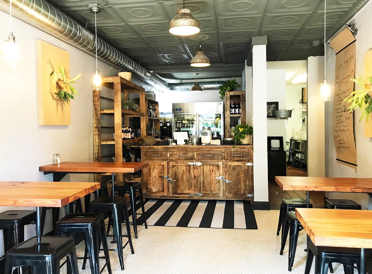 Taco Buddha: A Culinary Fusion Experience in University City